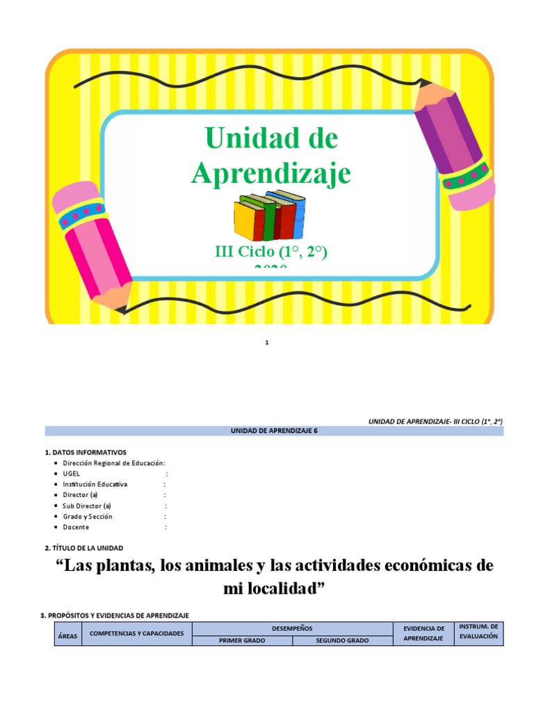 Unidad de Aprendizaje - Iii Ciclo (1°, 2°) - Agosto | PDF | Aprendizaje | Observación