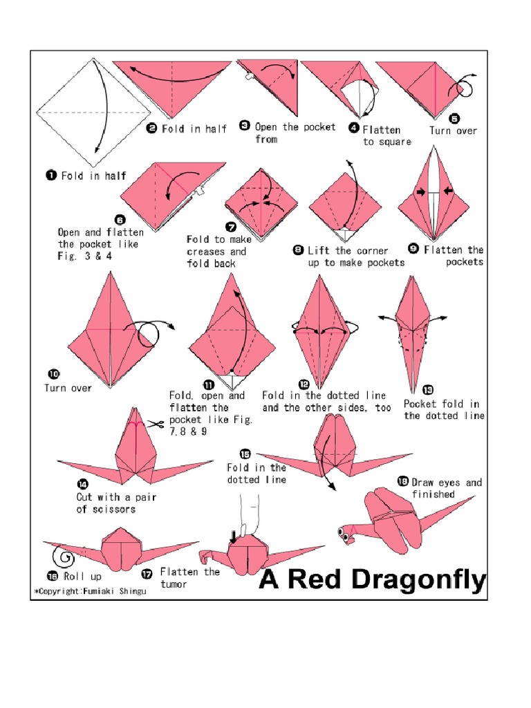 A Red Dragonfly | PDF