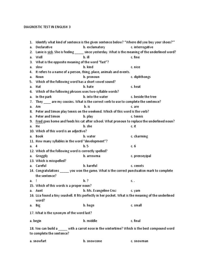 Grade 3 English Diagnostic Test | PDF | English Language | Languages