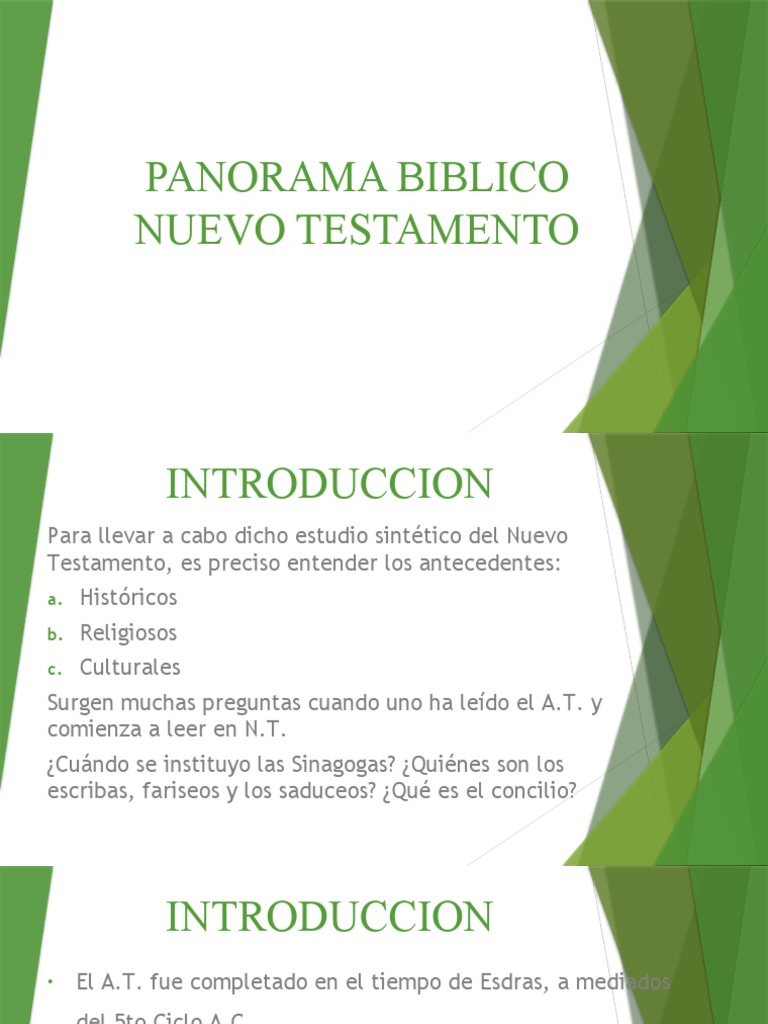 Panorama del Nuevo Testamento | PDF | Evangelio de Mateo | Juan el apóstol