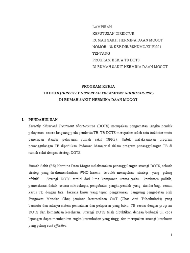 Program TB Dots 2022 | PDF