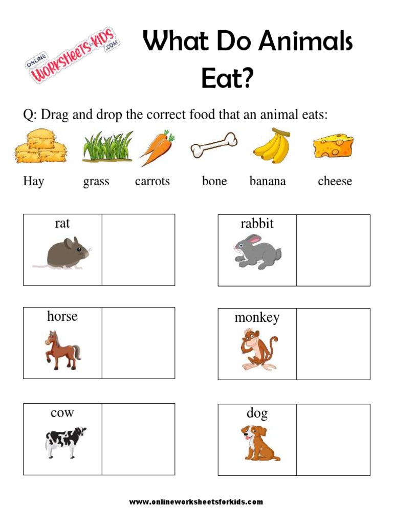 What Do Animals Eat Worksheet For Grade 1-5 | PDF