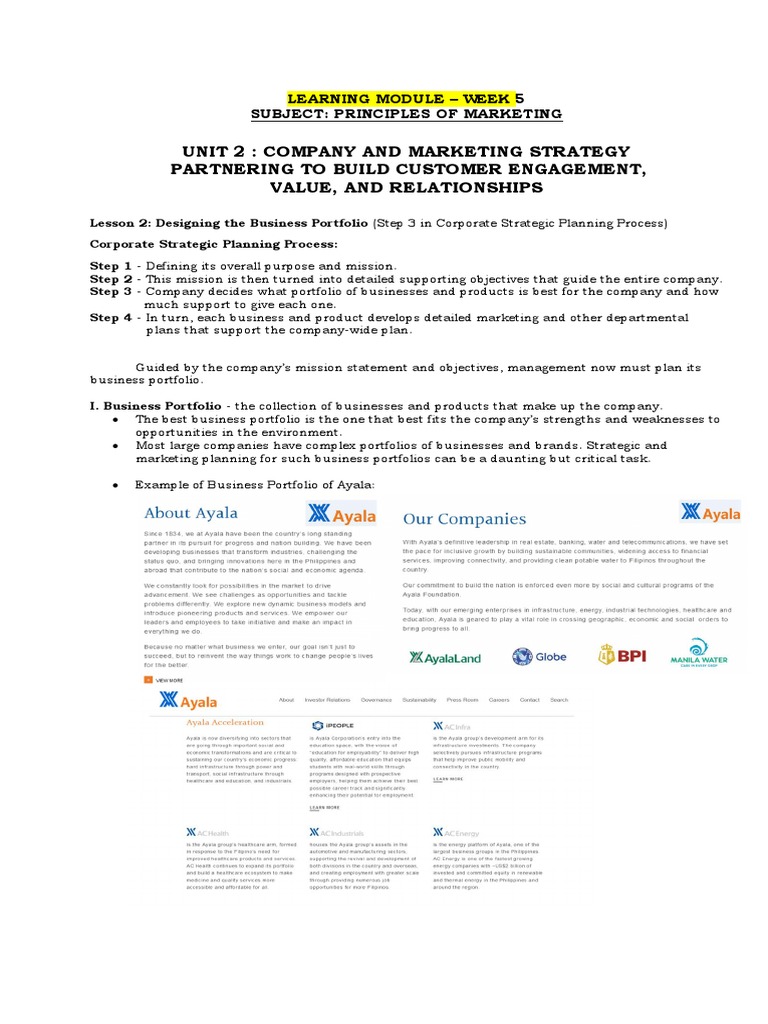 Designing The Business Portfolio | PDF | Business Economics | Business