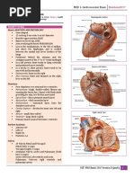 Key Cardiac Landmarks Overview | PDF