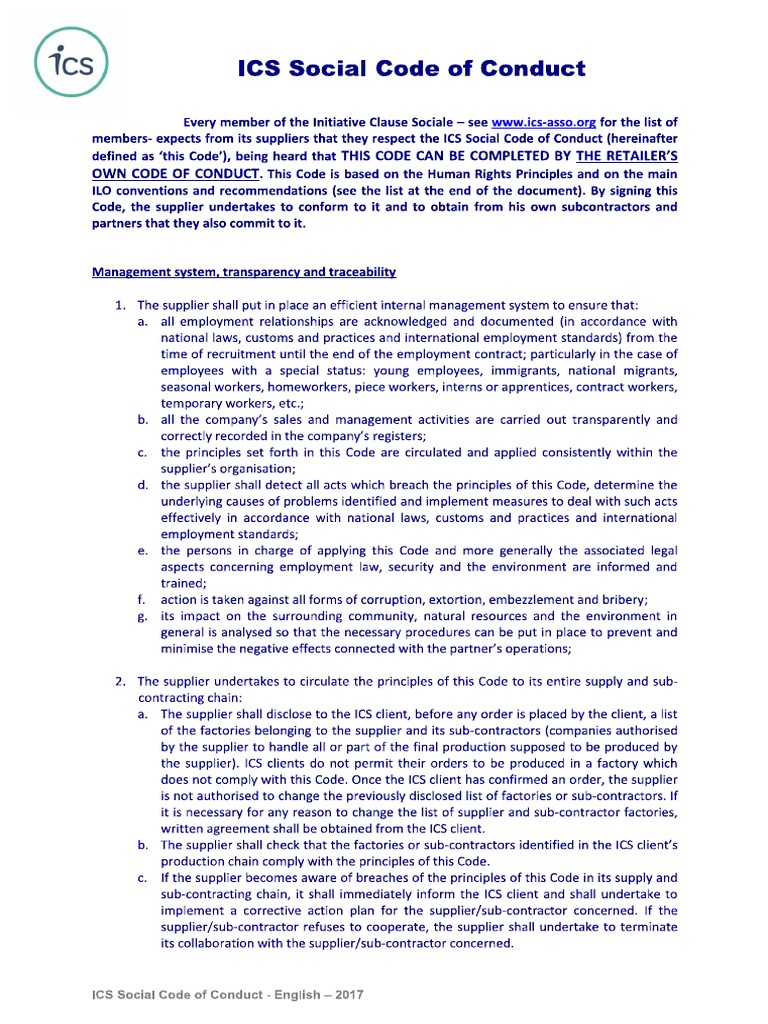 ICS Social Audit | PDF