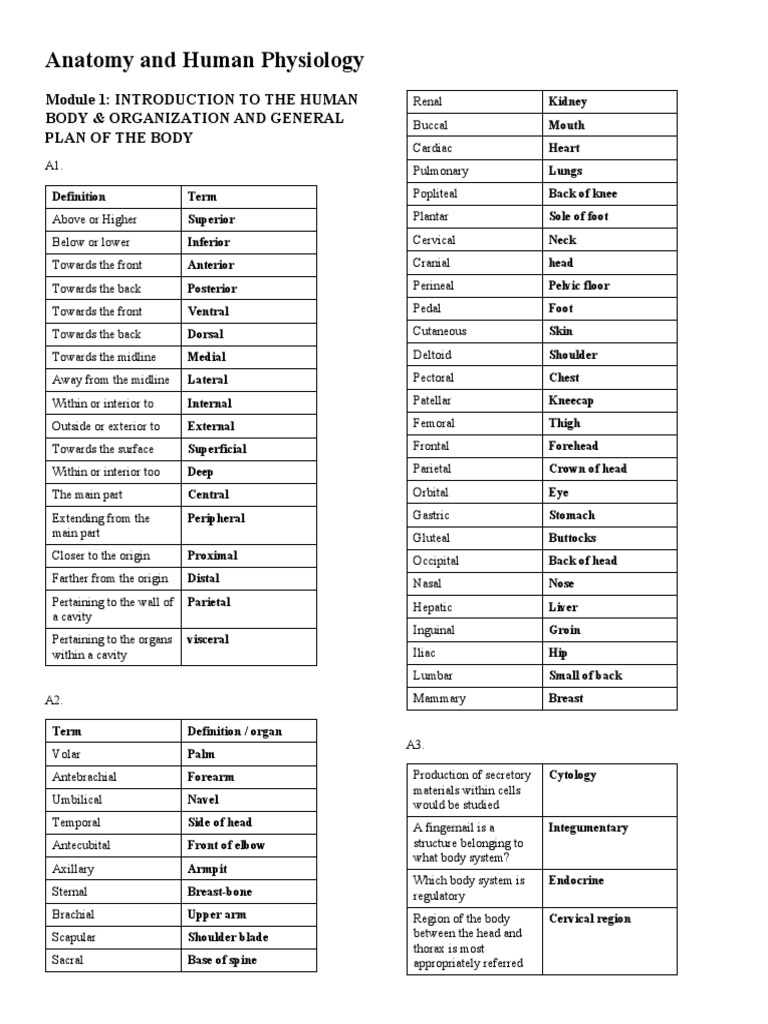 Anatomy and Human Physiology: Module 1: Introduction To The Human Body ...