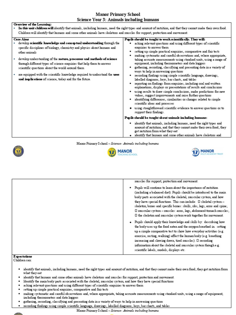 Year 3 Animals Including Humans | PDF | Foods | Skeleton