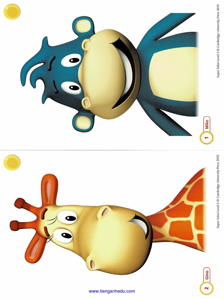 Super Safari 2 Flashcards | PDF