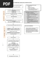 Alur Resusitasi Neonatus IDAI 2022 60x160 | PDF