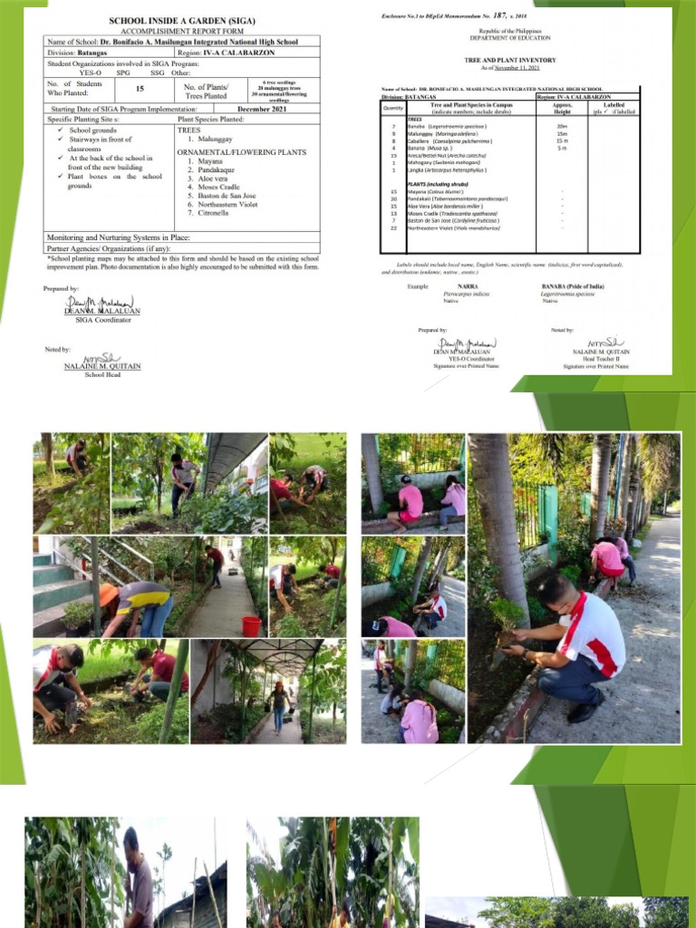 SIGA Presentation | PDF