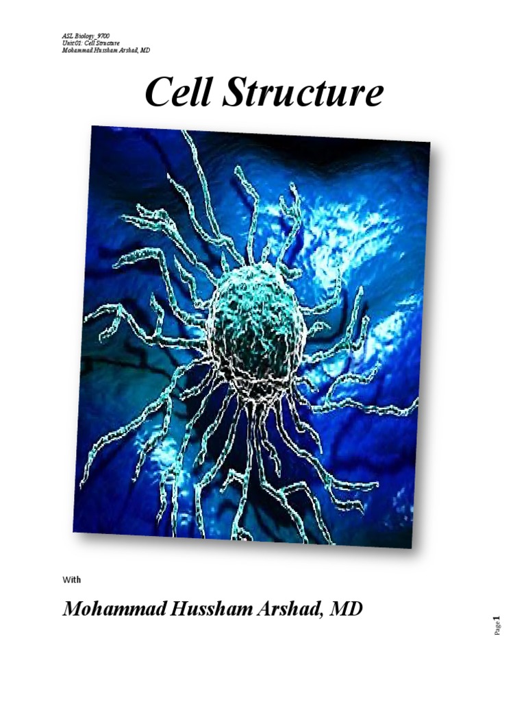 Cell Structure in ASL Biology 9700 | PDF | Microscope | Endoplasmic ...