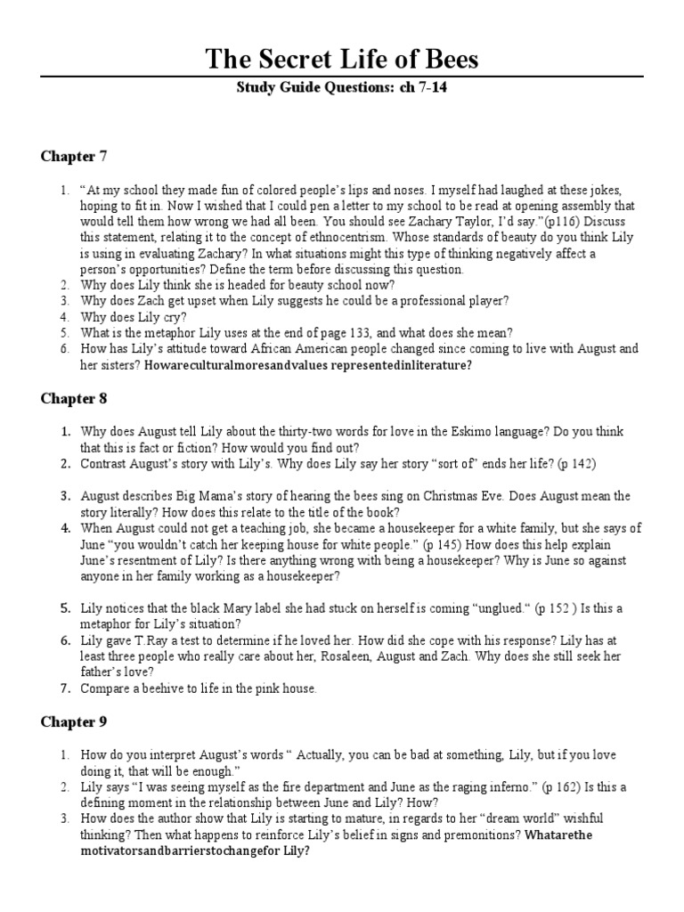 The Secret Life of Bees Study Guide Questions 7-End | PDF
