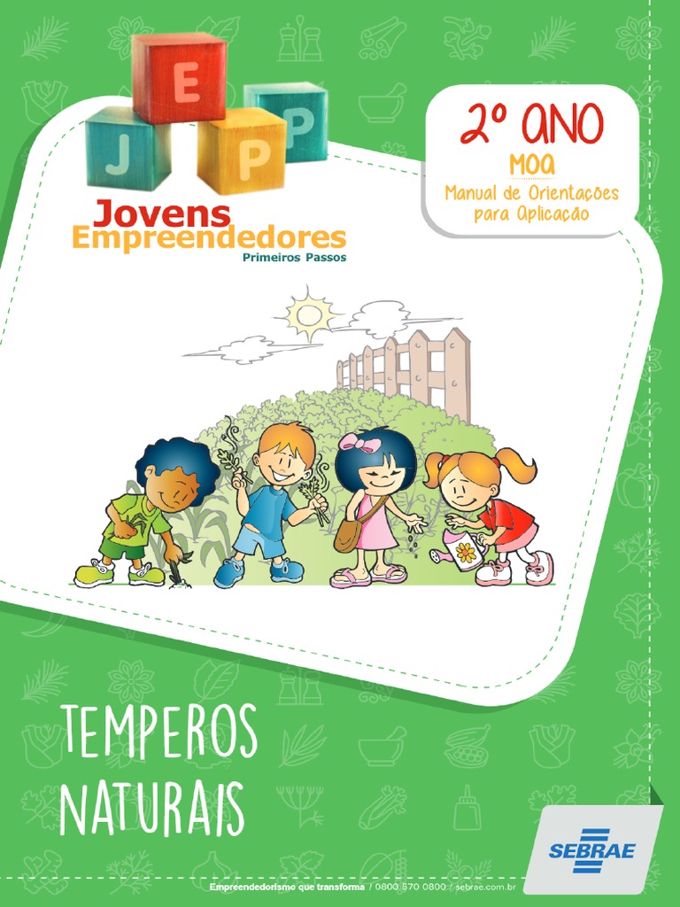 Jepp 2º Ano Professor | PDF