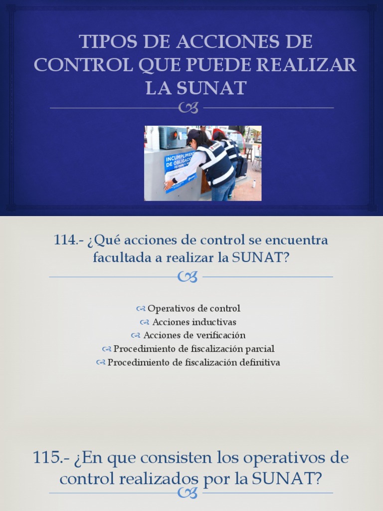 Tipos de Acciones de Control Que Puede Realizar | PDF | Contabilidad ...