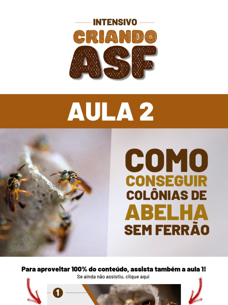 AULA 2 - Intensivo Criando ASF | PDF | Abelhas