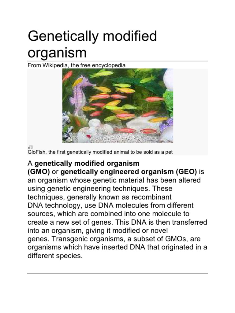Genetically Modified Organisms Overview | PDF | Genetically Modified ...