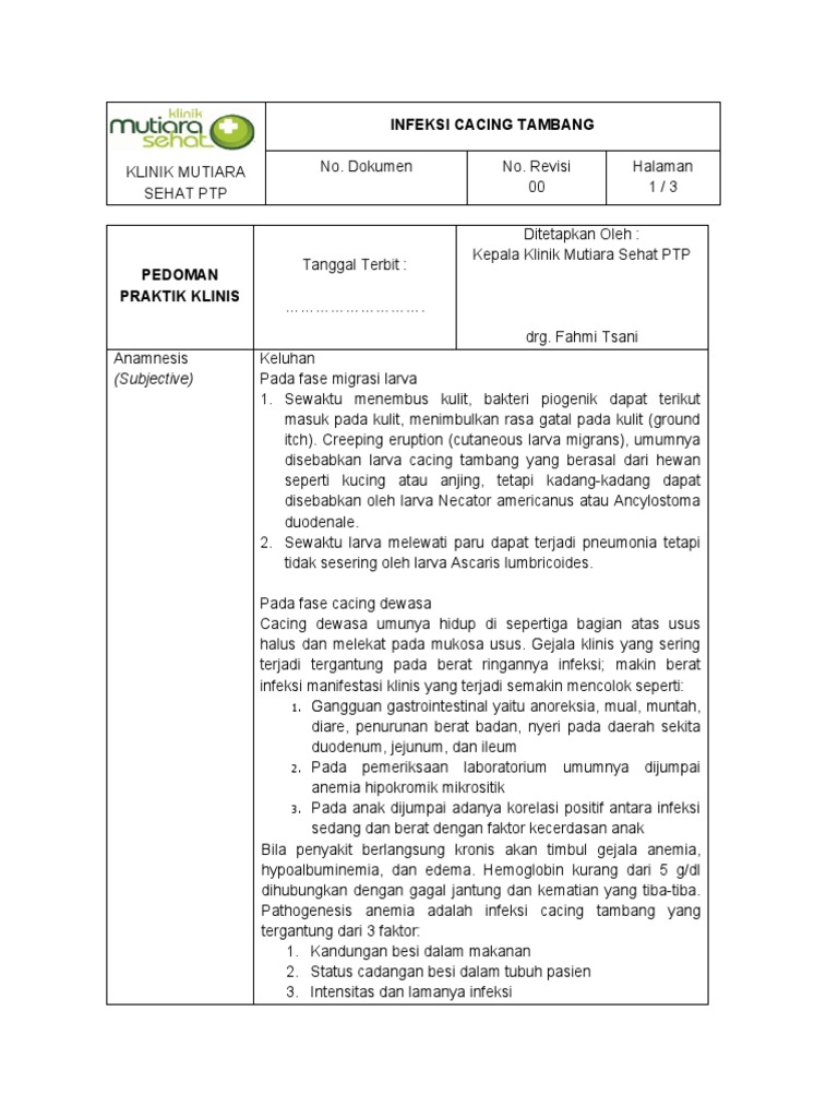 PPK Infeksi Cacing Tambang | PDF