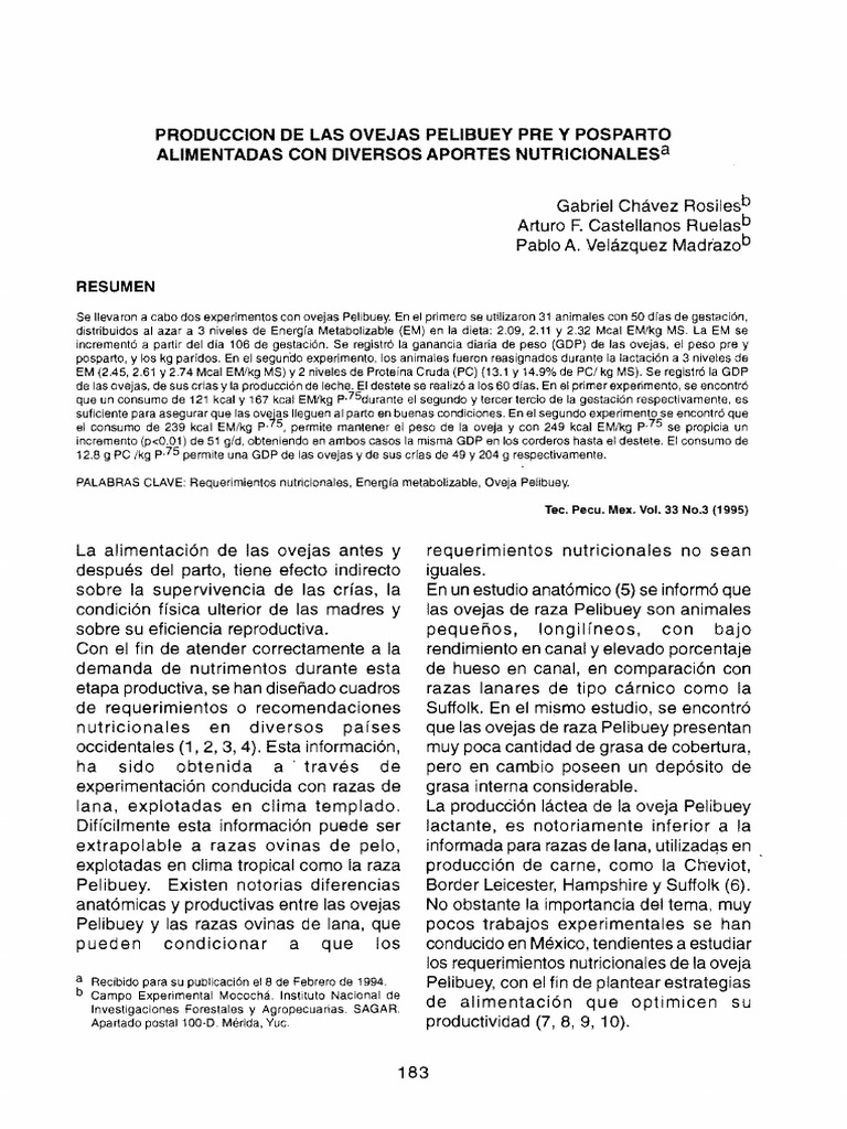 Alimentacion Borregos Ovejos Mouton Pelibuey | PDF | Carne | Oveja