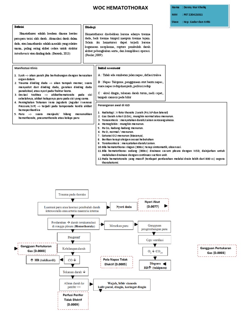 Woc Hematothorax | PDF