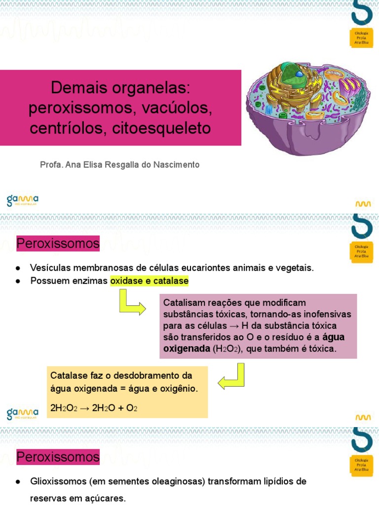 Aula 8 - Demais Organelas - Peroxissomos, Vacúolos, Centríolos ...
