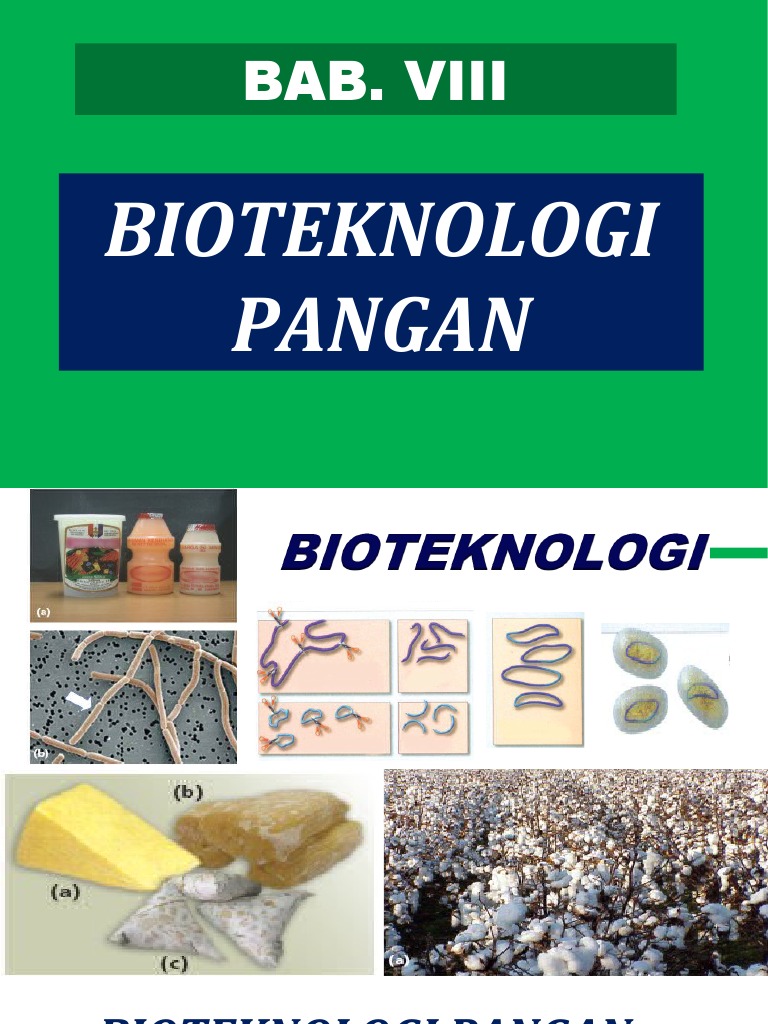 Ppt. Bab Viii Bioteknologi Pangan | PDF