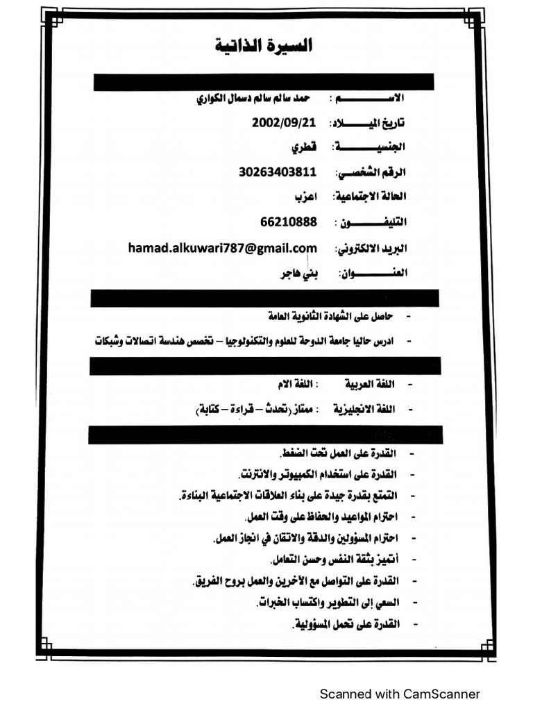 CV PDF