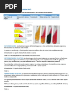 LA ESCALA DE McFARLAND | PDF | Las bacterias | Ciencias fisicas