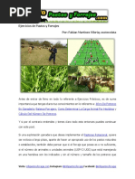 Ficha Técnica Del Pasto Guinea (Panicum Máximum Cv. Guinea Común) | PDF