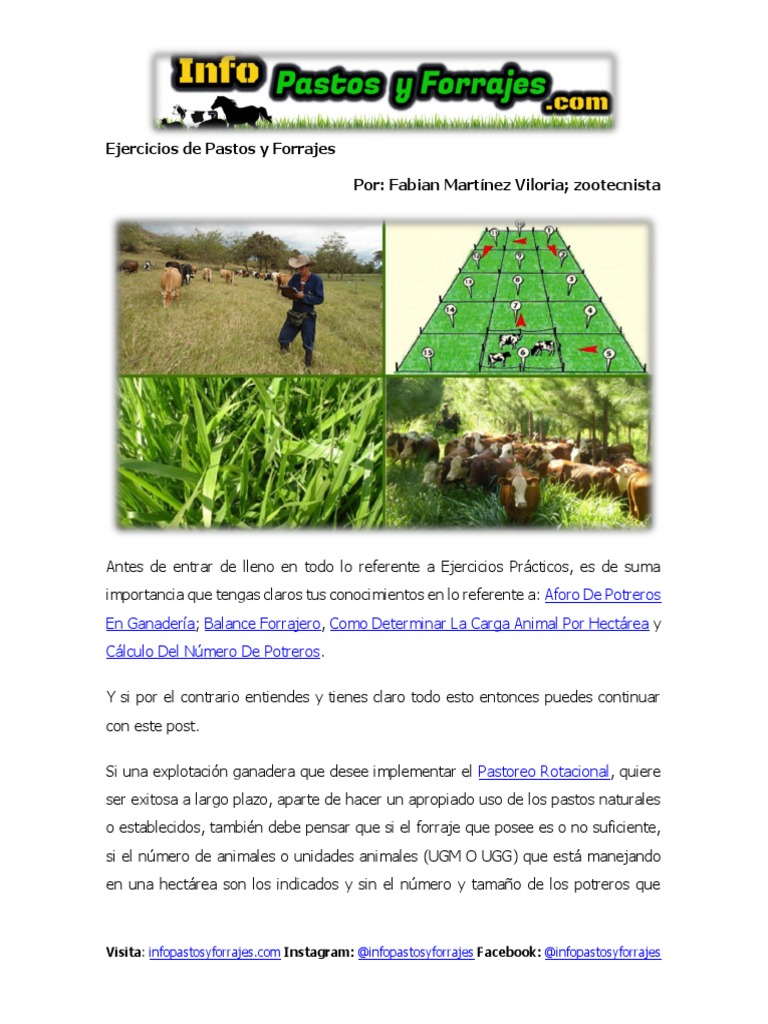 Ejercicios de Pastos y Forrajes | PDF | Pasto | Agricultura