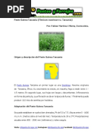Ficha Técnica Del Pasto Guinea (Panicum Máximum Cv. Guinea Común) | PDF