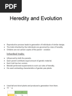 Class 10 Heredity and Evolution Notes | PDF | Dominance (Genetics ...