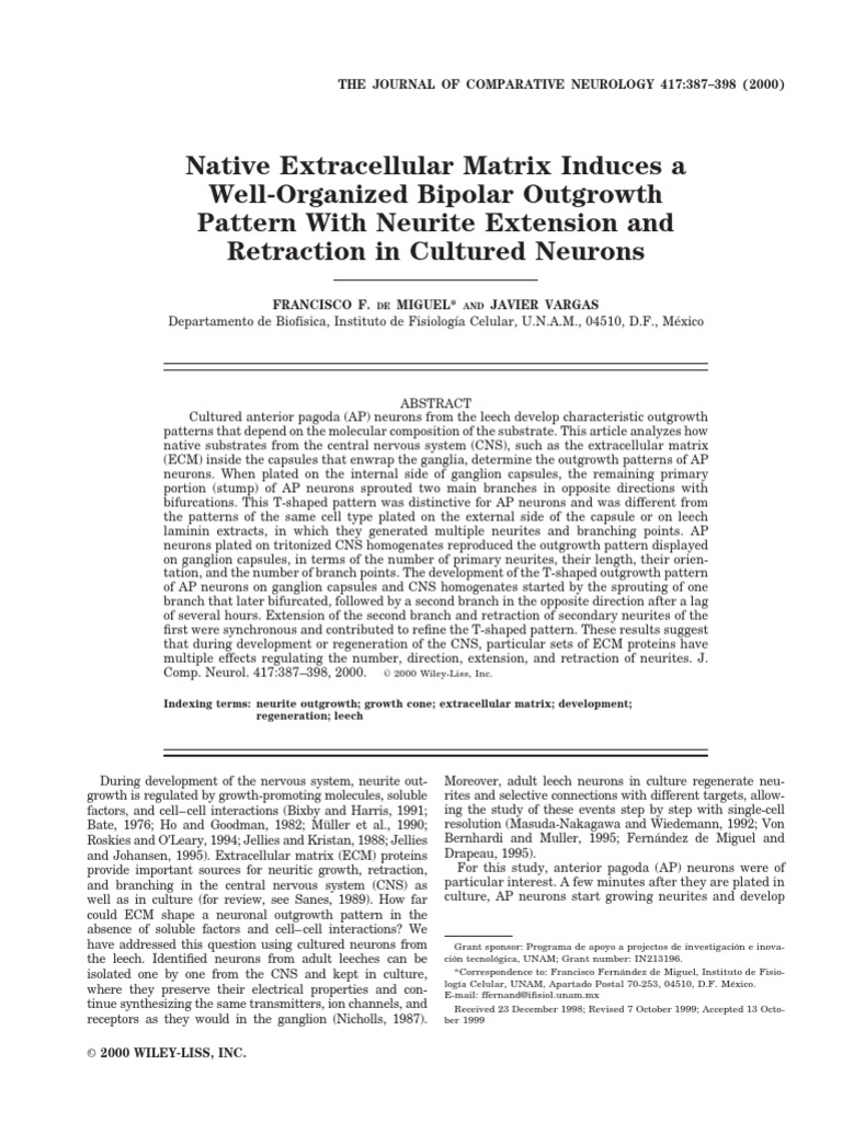 Native Extracellular Matrix Induces A Well-Organized Bipolar Outgrowth Pattern With Neurite ...