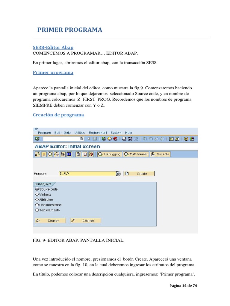 SE38SAP | PDF | Lenguaje de programación | Programa de computadora