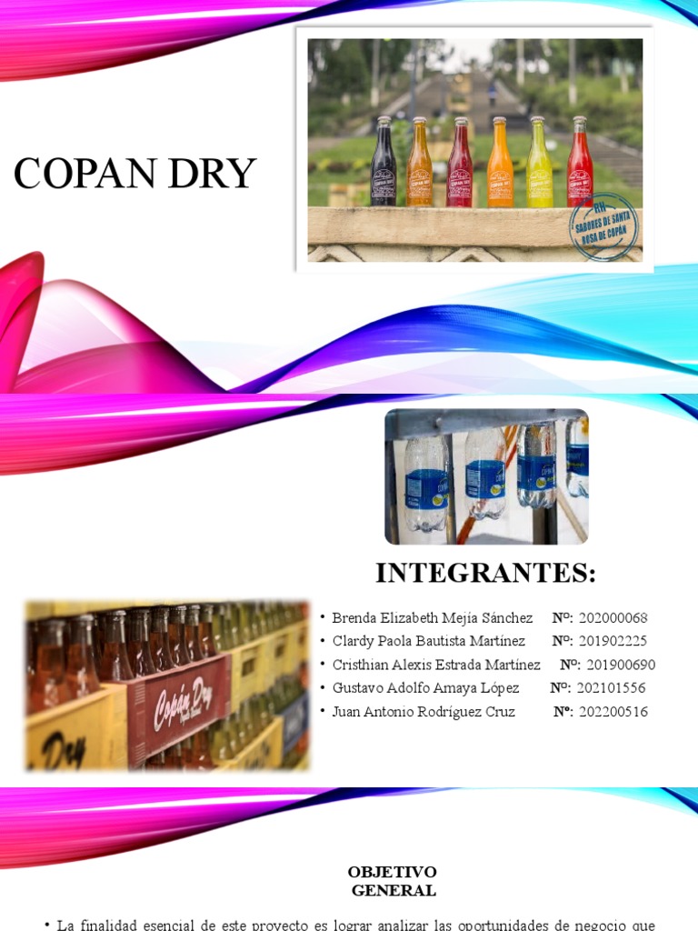 Copan Dry | PDF | Marketing | Producto (Negocio)