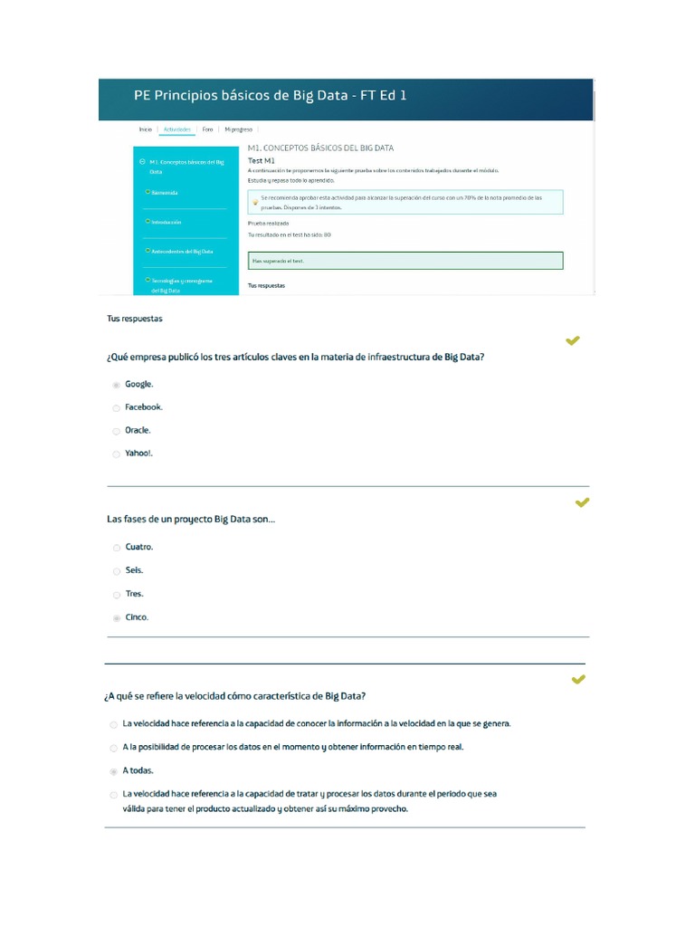 Principios Básicos de Big Data - FT Ed 1 | PDF