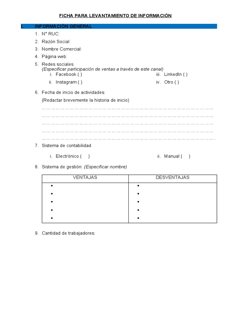 Ficha para Levantamiento de Información | PDF | Informática | Business