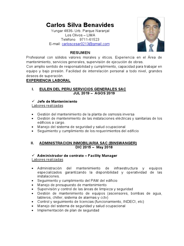 CV Carlos Silva Benavides | PDF