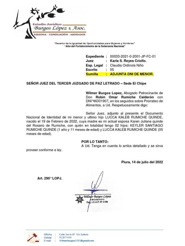 Adjunta Dni Hijo Recien Nacido - Robin Omar Rumiche Calderón | PDF | Política | Derecho