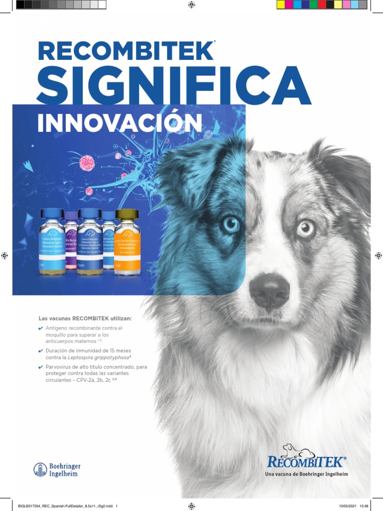 Folleto Recombitek | PDF