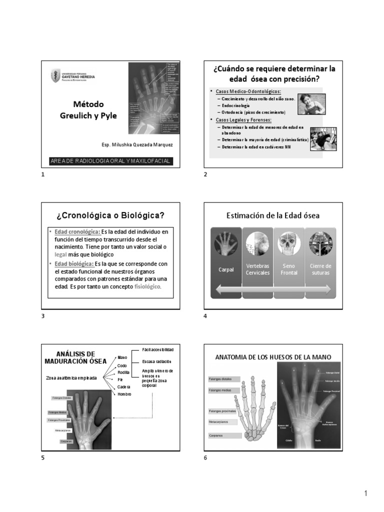 GREULICH y PYLE | PDF | Sistema musculoesquelético | Anatomía