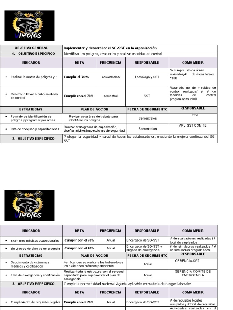 Formato Objetivos | PDF