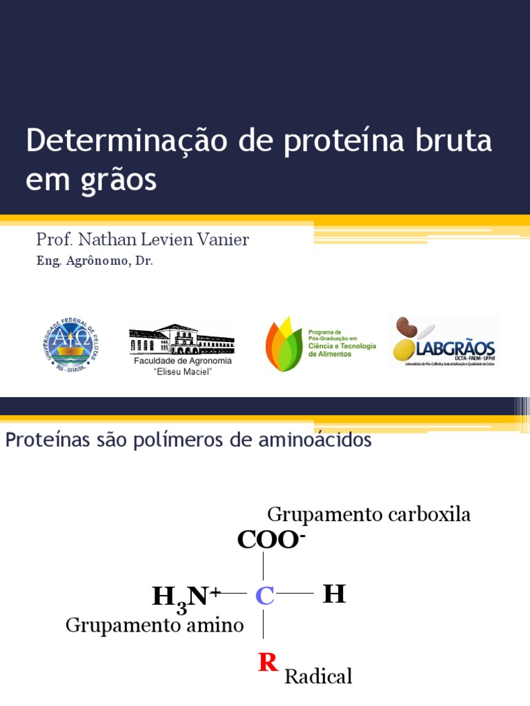 Determinacao de Proteina Bruta - Prof Nathan | PDF | Proteínas | Aminoácido