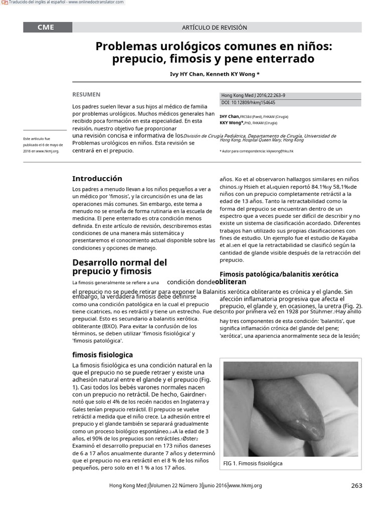 Problemas Urológicos Comunes en Niños: Prepucio, Fimosis y Pene ...