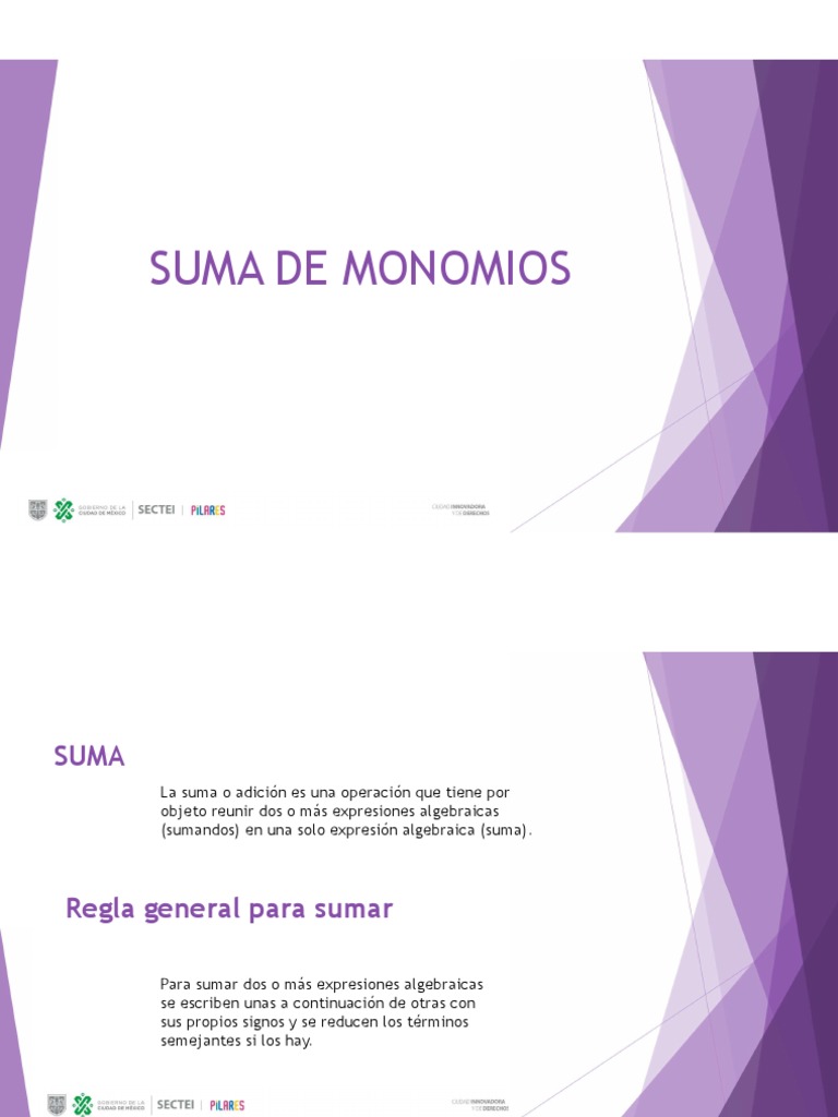 Suma de Monomios | PDF