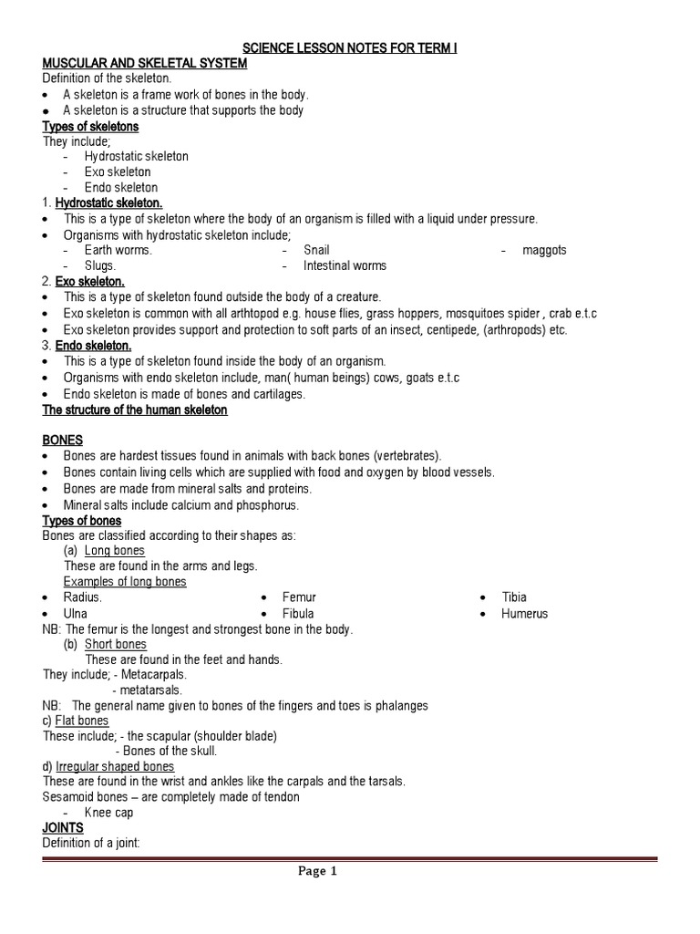 P.7 Primary Seven Sci Notes - Teacher - Ac | PDF | Fuels | Energy ...