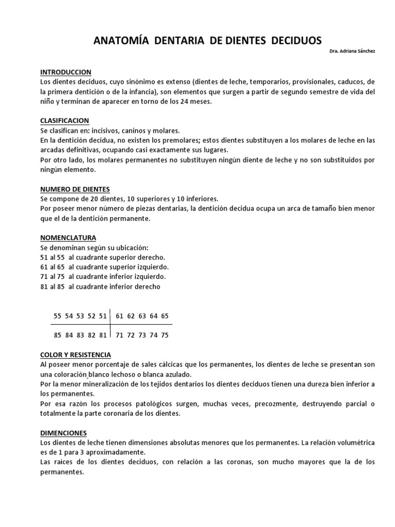 ANATOMÍA DENTARIA DE DIENTES DECIDUOS - Dra. Adriana Sánchez | PDF ...