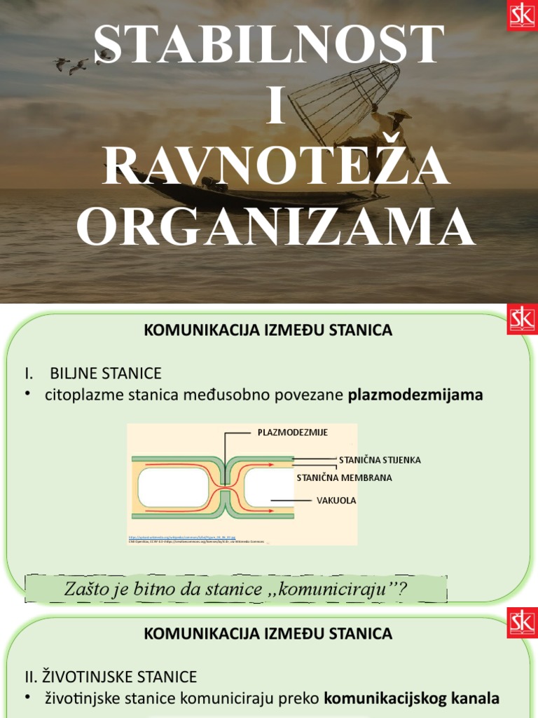 Stabilnost I Ravnoteža Organizama | PDF