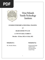 Company Profile SI Interpack Pvt Ltd | PDF | Motor Vehicle