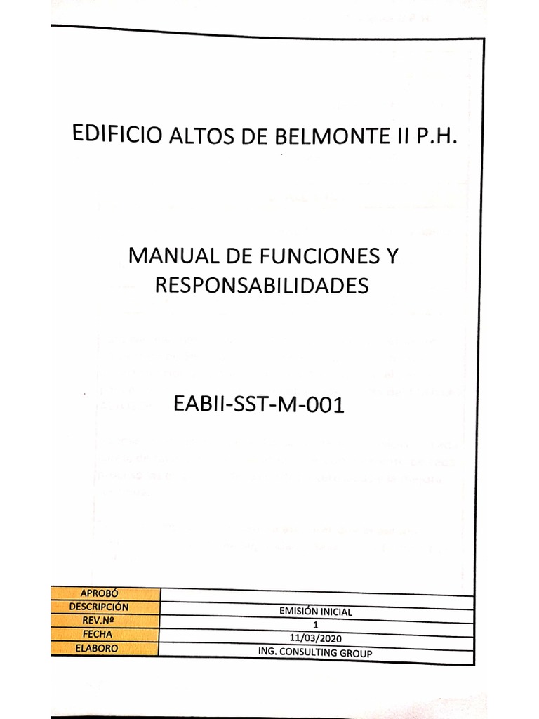 Manual de Funciones SST | PDF