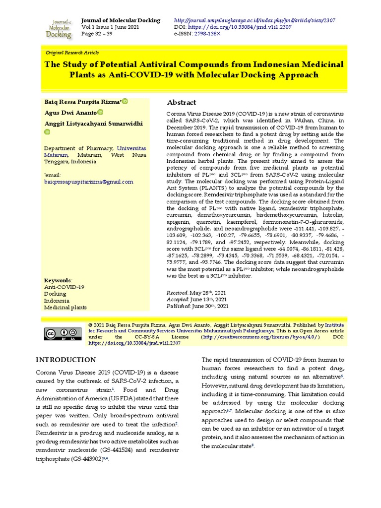 In Silico | PDF | Docking (Molecular) | Enzyme Inhibitor
